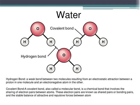Biochemistry Ppt Download