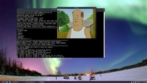 how to play video from the terminal in linux with mplayer youtube