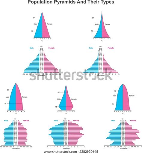 Population Pyramids Their Types Life Expectancy Stock Vector Royalty