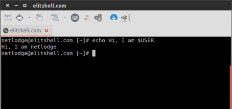 using remmina as gui ssh client for linux jajo