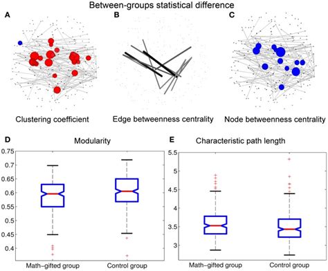 Between Groups Statistical Differences Of Topological Parameters When