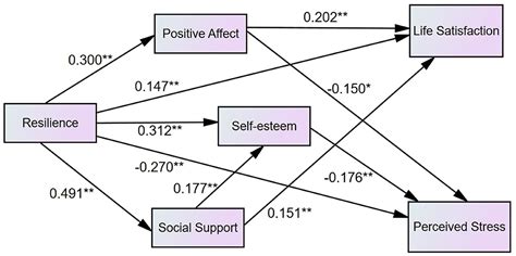 Frontiers How Resilience Promotes Mental Health Of Patients With Dsm