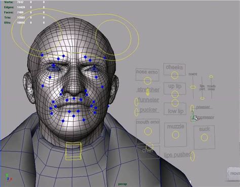 face rig maya rigs maya modeling character rigging