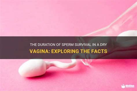 The Duration Of Sperm Survival In A Dry Vagina Exploring The Facts