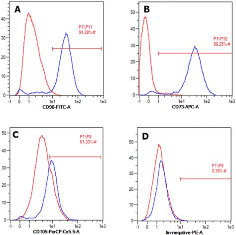 Flow Cytometry Result Of Specific Adsc Cell Surface Markers Cell