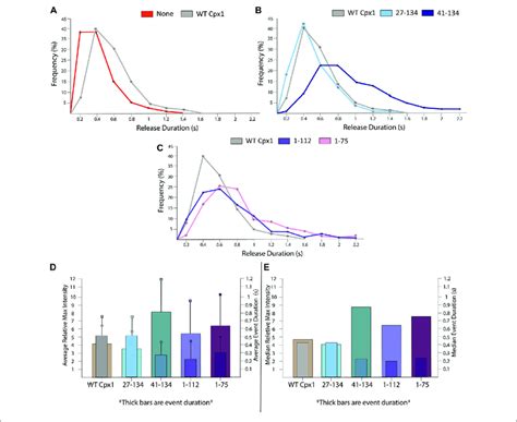 For Truncation Mutants Of Cpx1 The Duration Of The Large Fusion Pore