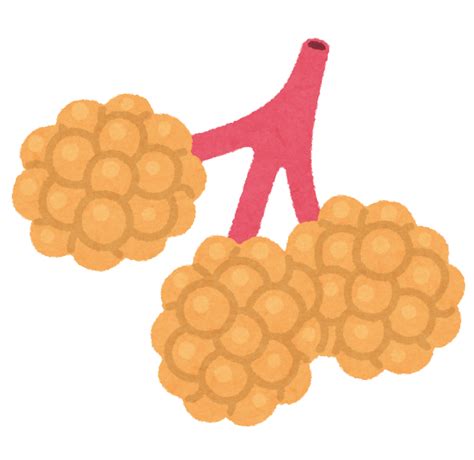 【保存版】間質性肺炎で調べる血液検査：kl 6 呼吸器内科専門医の間質性肺炎ブログ