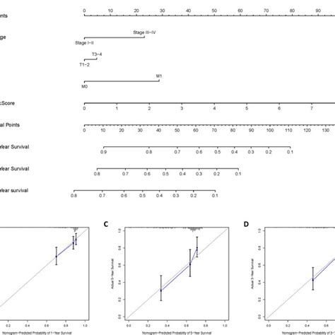 Nomogram Construction And Validation A Nomogram Showing Survival