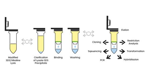 Danagene Plasmid Miniprep Kit Danagen