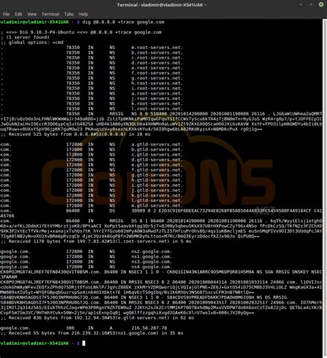 linux dig command how to install it and use it cloudns blog