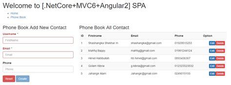 enable cross origin resource sharing cors in asp core codeproject