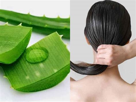 How To Apply Aloe Vera On Hair For Hair Growth And Long Hair