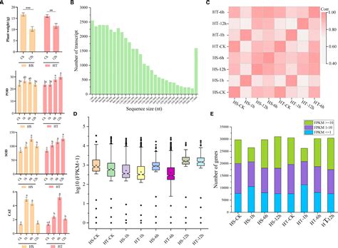Frontiers Analysis Of Transcriptome And Epitranscriptome In Plants My