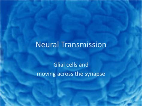 Ppt Neural Transmission Powerpoint Presentation Free Download Id