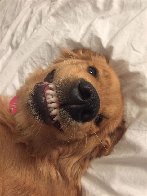 Omg Lm In Trouble R Eyebleach