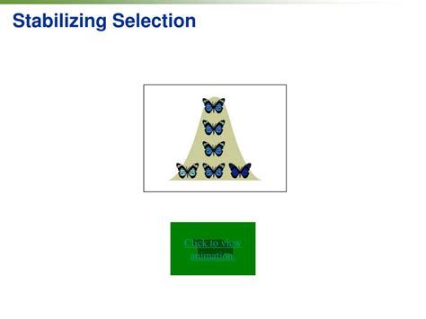 Ppt Ecology And Evolution Populations Communities And Biodiversity