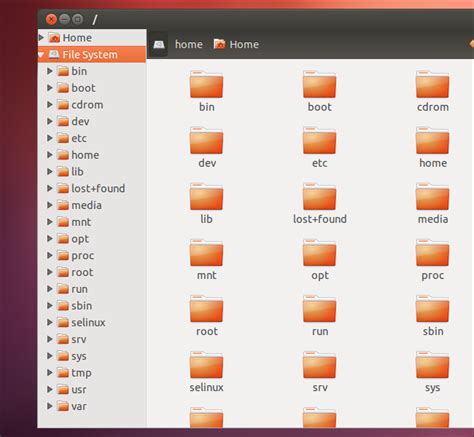 the linux directory structure explained