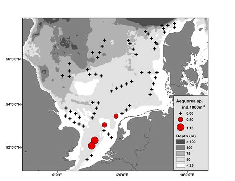mercator projection system grid problem grid false on qgis but right