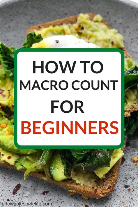 Counting Macros 101 A Step By Step Guide Artofit