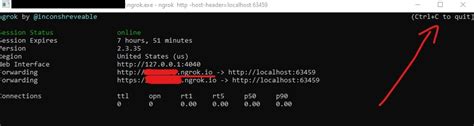 stop sharing a port on ngrok stack overflow