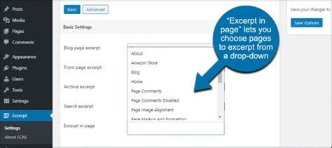 how to auto create a custom wordpress excerpt for posts greengeeks