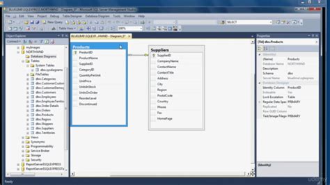 beginner data analysis using sql and microsoft sql server coupon