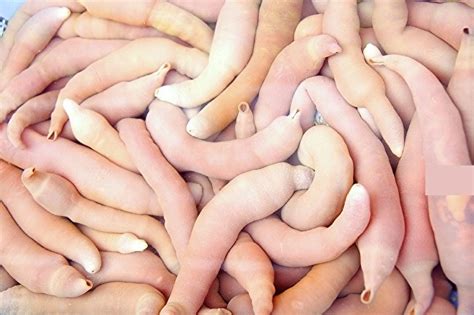 【閲覧注意】これが大勢の男達に輪姦されたレ プ被害者の姿です。覚悟してご覧ください ポッカキット