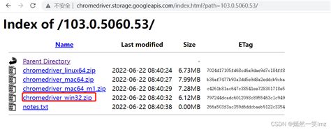 解决：mon exceptions webdriverexception message
