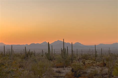 A Calming Sunset Over Saguaro National Park[6000x4000] R Earthporn