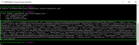 connect phpstorm to a docker daemon over