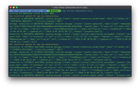 introducing laravel websockets an easy to use websocket server