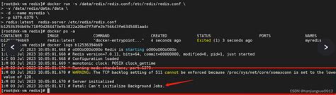 docker运行redis镜像失败：闪退 fatal can t initialize background jobs error mes