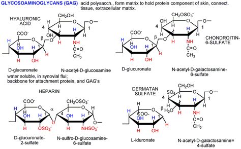 Polysaccharides Structure