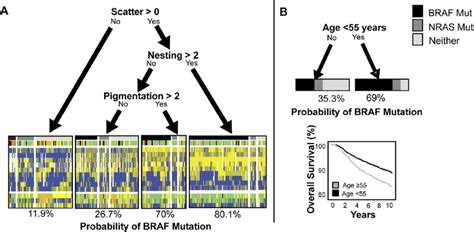 prediction algorithms of braf mutation prediction trees for braf