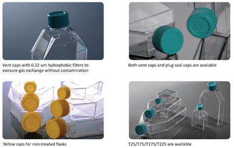 cell culture flask 175cm2 vented cap tc treated sterile 5 pk 40