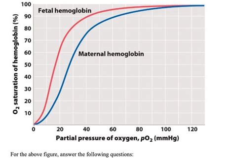 [solved] For The Y Axis What Does O 2 Saturation Of Hemoglobin