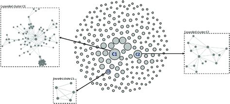 Sample Molecular Transmission Network Clusters [shown As Gray Circles