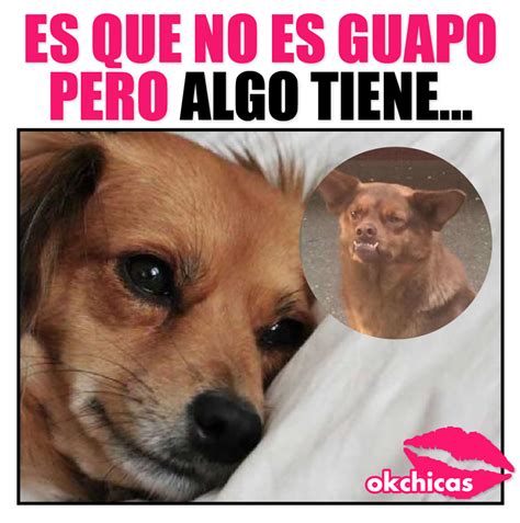 Los Mejores Memes De Trabajo Reverasite