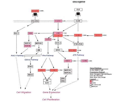 The Pathways Involved In The Metastasis Of Colorectal Carcinoma