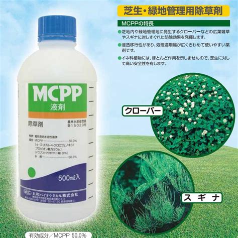 芝生 緑地管理除草剤 Mcpp液剤 500ml 日本芝 西洋芝 ブルーグラス 農薬 薬剤【2024年10月期限切れ】 Vrd 4545007
