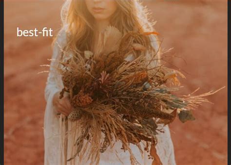 easy jquery image auto resizing and alignment plugin image scale
