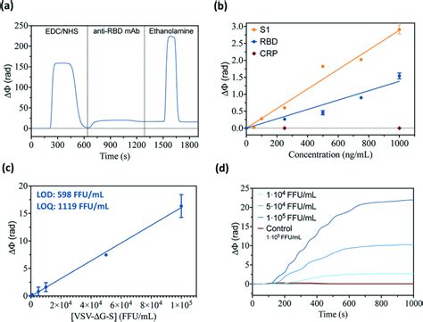 A Representative Real Time Sensorgram Of The Anti Rbd Mab 20 μg