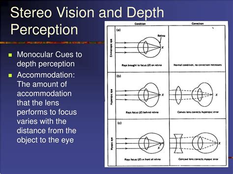 Ppt Stereo Vision And Depth Perception Powerpoint Presentation Free