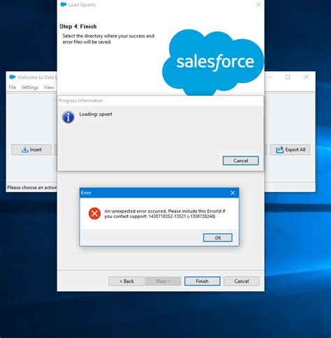 salesforce data loader error use one of these records
