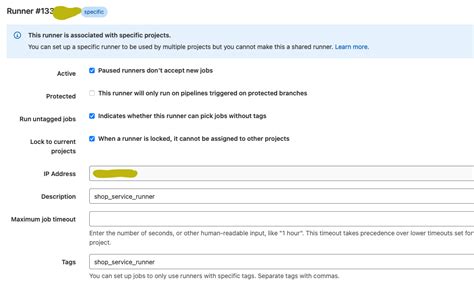 amazon ec2 gitlab pipeline error with cd ci for aws ec2 debian