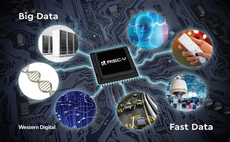 open standards in processor innovation with risc v