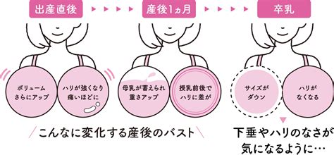 産後のバスト（産後3ヵ月） からだの変化とマタニティのインナー選び ワコールマタニティ公式ブランドページ