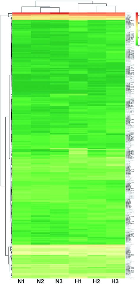Identification And Characterization Of Differentially Expressed Mirnas