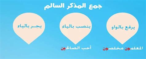 امثله على جمع المذكر السالم موسوعة اقرأ امثله على جمع المذكر السالم
