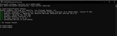 dart flutter web doesn t show something after upgrade to version 2